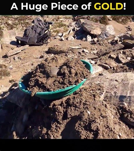 HUGE gold flake found! (For the Fraser River, this IS HUGE!)