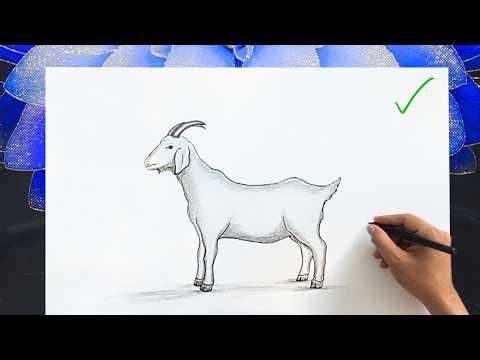 Goat Drawing 🐐 | Simple Animal drawing tutorial