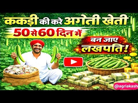 ककड़ी की खेती 2026 | Beej Se Todai Tak Puri Jankari | High Yield & Munafa, cucumber farming in hindi