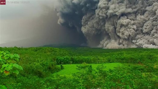 Semeru volcano erupts in Indonesia, covering nearby village in ash
