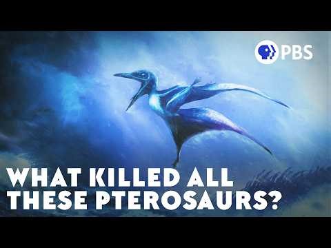 The Mystery of This Deadly Lagoon