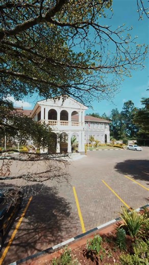 Effortless Carpet Cleaning Services