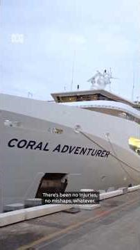 Stranded passengers to be flown home after cruise ship runs aground off PNG | ABC NEWS