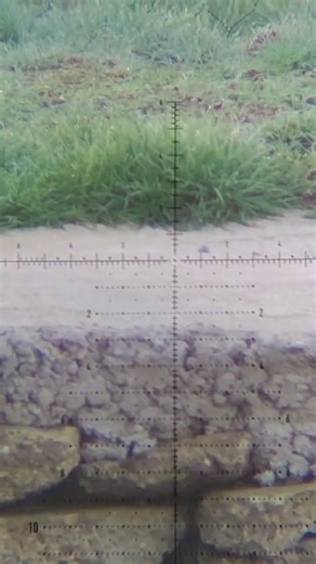 Range Day: Precision Plinking 🎯" or "Can I hit the smallest one? #rangetime #precisionshooting