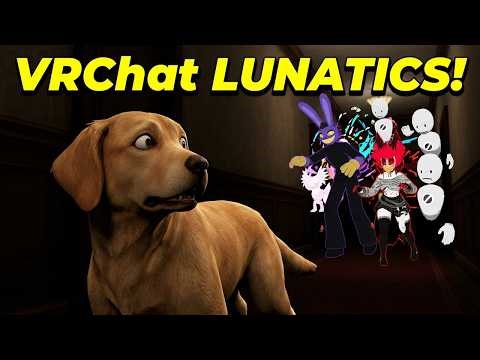 Dog Returns To VRChat and Meets Absolute Lunatics | Awesome Dog Ep.2