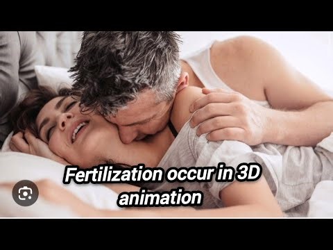 How Sperm Is Transported After Sex | Fertilization Process Explained | HA & CTEVT