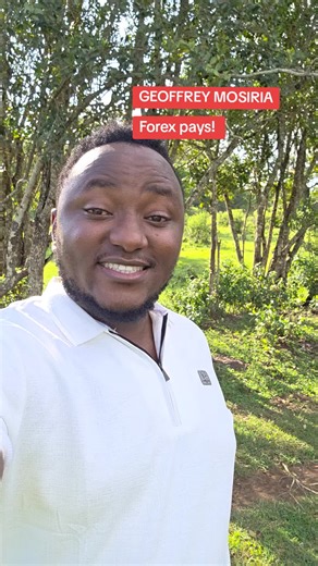 Understanding the Challenges of Forex Trading