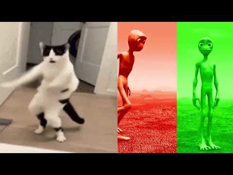 The Funniest Green Alien Dance👽 | Dame Tu Cosita Vibe