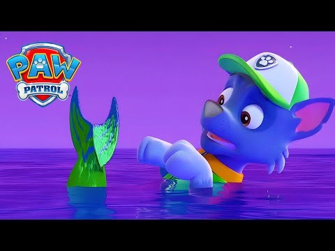Pups Save a Mer-pup! 🧜🏻‍♂️ - PAW Patrol - Cartoons for Kids