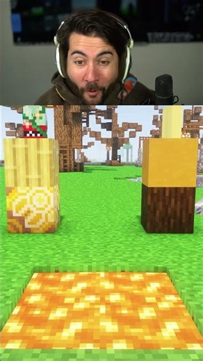 MINECRAFT TELEPATHY