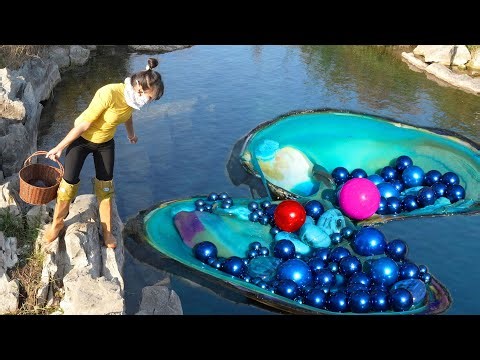 💎🐚 Pearlbound Legacy: Girl Inherits Clam’s Throne, Rules Kingdom Where Pearls Dictate Law