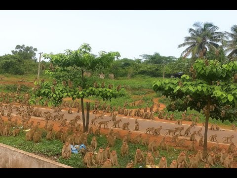 🔴 Live Roadside View | Outdoor CCTV Camera CCTV LIVE CAM