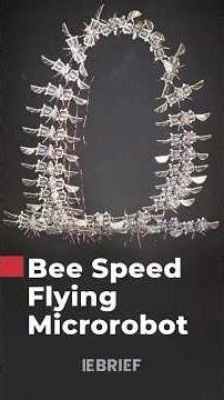 MIT robot flies like a bumblebee