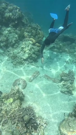 Top Techniques for Spearfishing Success