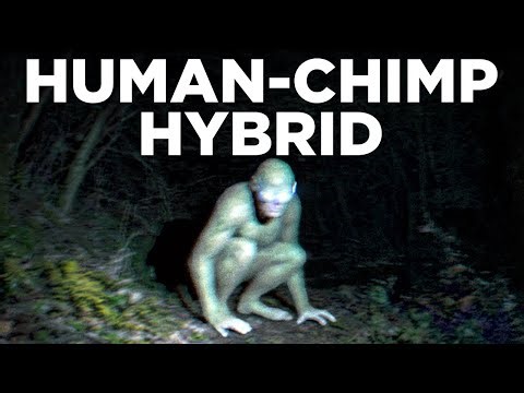 Scariest Hybrid Animals That Actually Exist