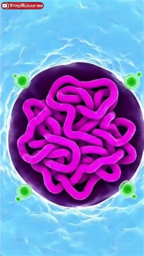Cells grow | DNA Copy | DivideInterphase | Mitosis ka full science #CellCycle #Mitosis #Biology