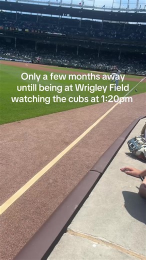 Excitement Builds for Cubs Baseball at Wrigley Field