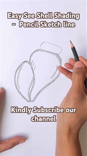 Simple See Shell Shading