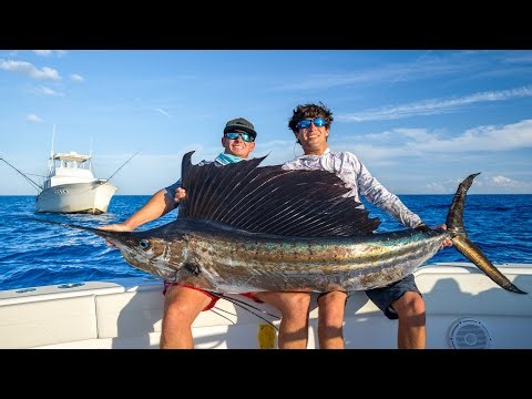 NOBODY Eats this fish... Catch Clean Cook (Sailfish)