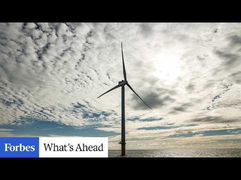 Environmental Disaster Is Looming Thanks To So-Called Renewable Energy Sources