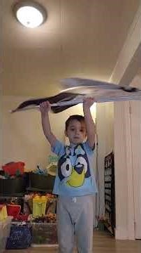 March 12, 2026 Black Panther flag routine