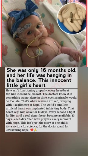 When Science Snatched an Innocent Life From the Jaws of Death