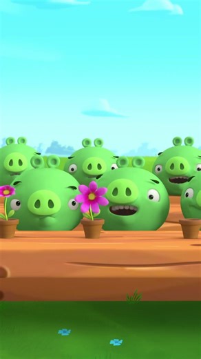 Flowers everywhere! 🌸😍