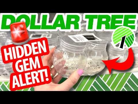 ⭐️The *BEST* Dollar Tree Find! *NEW* Organization HACKS, DIYs & IDEAS!