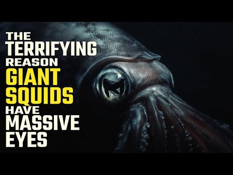 The Terrifying Reason Giant Squids Have Massive Eyes | Deep Sea Mystery