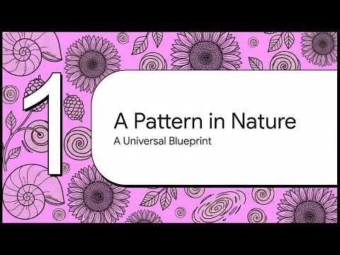 The Fibonacci Sequence