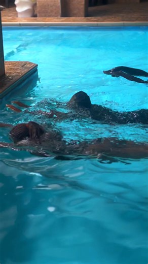 7.7K views · 741 reactions | You can’t Swim? We’ll Teach You — First...