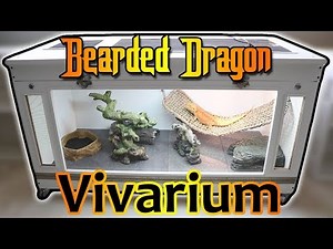 Homemade Bearded Dragon Enclosure