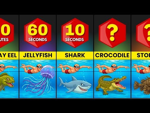 How Long Can Humans Survive Swimming With Sea Creatures