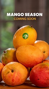 11K views · 78 reactions | 省 Mango Season is Almost Here! 省 Once a...