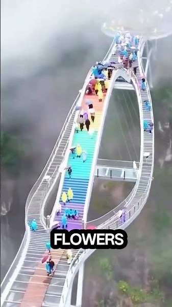 Royal Bridge in China 🌉✨ A Stunning Engineering Marvel in Bloom!