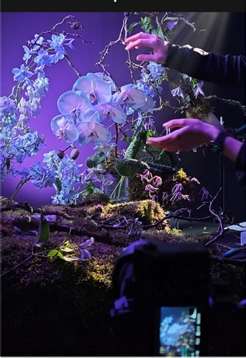 Creative Floral Projection Mapping Projects