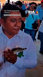 707K views · 4.4K reactions | Otra del México, mágico  Con todo y el vestido de novia, fiesta, gritos y mezcal, el alcalde de San Pedro Huamelula, Oaxaca, se casó con un caimán durante una colorida ceremonia. El reptil es una hembra que lleva por nombre “Princesa" Miguelana Estela del Mar Zavaleta Ramírez. La boda se trata de una tradición que lleva existiendo más de 230 años y cada año la organizan. | Azteca Noticias | Facebook