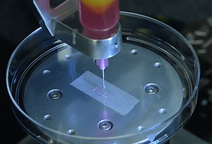 Biomaterials: Chitosan, Silk; Biocompatibility and Biodegradation