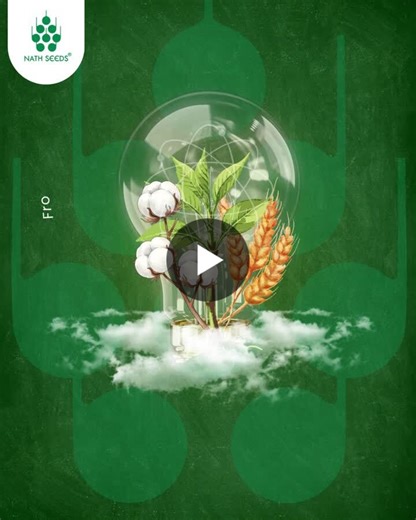 #nationalscienceday #nathbiogenes #agriinnovation #biotechnology #plantbreeding #seedresearch #womeninscience #viksitbharat #agriculture #scienceinaction | Nath Bio-Genes