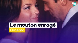 🎟 Ce succès des années 70 est un grand film de Michel Deville, probablement son meilleur. À voir absolument ! 👉 Le Mouton Enragé : https://tv5mon.de/Le-Mouton-Enrage 𝘙é𝘴𝘶𝘮é : Nicolas Mallet, modeste employé de banque, est un homme timide et introverti. Un jour, il ose aborder une jeune femme dans la rue. Il prend confiance en lui. Aidé par son ami Claude Fabre, il va peu à peu se transformer en séducteur assuré et entamer une ascension sociale fulgurante... #MichelDeville #RomySchneider #J