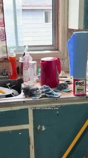 Not the Worst Cleaner on TikTok