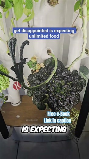 Garden Review: Best for Herbs, Greens, and Convenience #shorts