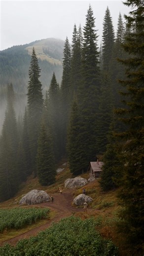 In the remote ridges of the Appalachian Mountains, poor Scots-Irish descendant families claimed land deep in dense forests, building small one- or two-room log cabins by hand with nothing but axes and determination. These homes were simple but functional — logs notched and stacked, gaps filled with clay that often cracked in harsh weather, dirt floors swept daily, and a massive stone chimney anchoring the hearth at the center of life and survival. Families endured constant toil: clearing rocky l