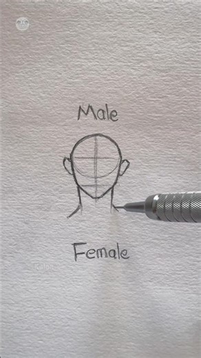 how to draw head male and female #shorts #art #sketch #tutorial #drawing