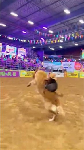 Bull Riding Is Old… This Is Better 😂#shorts