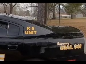 Two 1ST Amendment Auditors Get Arrested And Convicted.