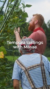 29K views · 186 reactions | Experience mindful moments and tasty tempura in Japan. | Intrepid Travel | Facebook