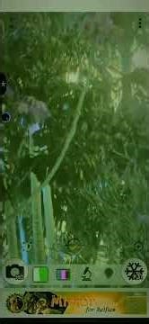 Organized Gang Stalking # justiceRorRefugee