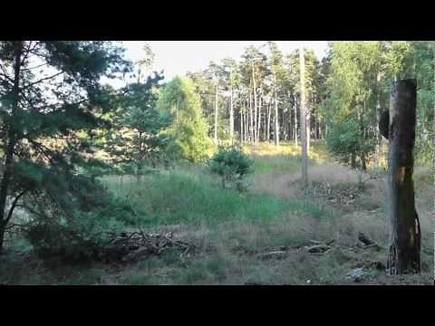 Amazing long distance slingshot shooting 100m, 330feet