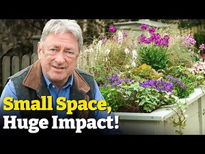 Small Garden? No problem! - My Perfect Spring Planter for Instant Colour